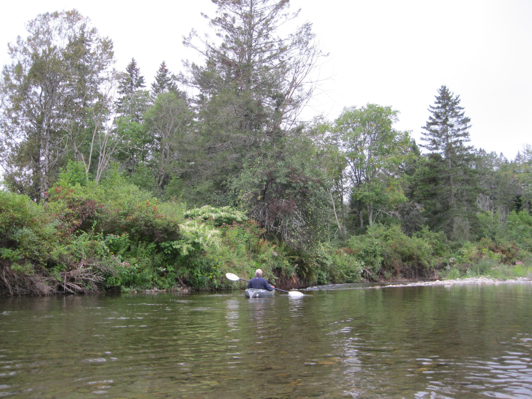 Hardwick Conservation Commission – Hardwick, Vermont